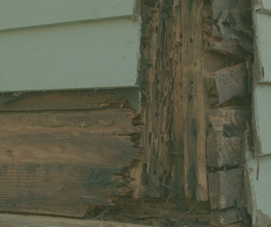 Do I need a Termite Inspection Report for Closing FHA/VA Loans?